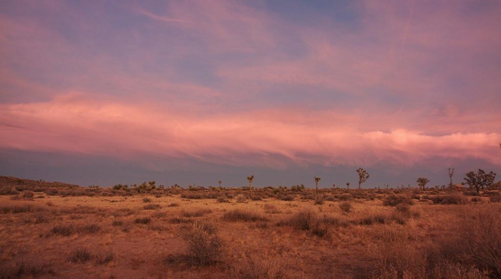 Photographer - Anthony Chene