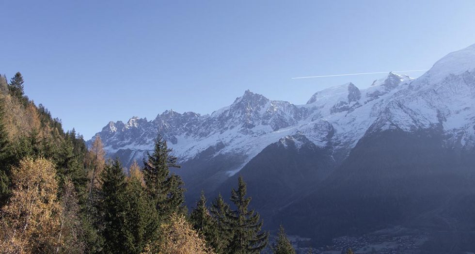 Photographer - Anthony Chene