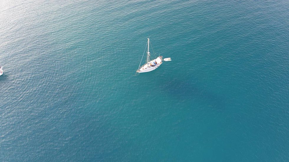 Photographer - Anthony Chene