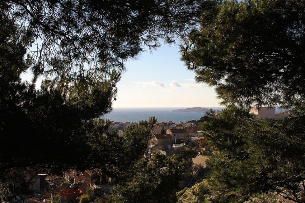 Photographer - Anthony Chene