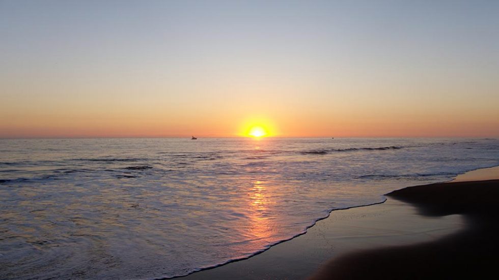 Photographer - Anthony Chene