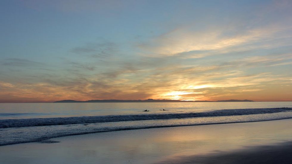 Photographer - Anthony Chene